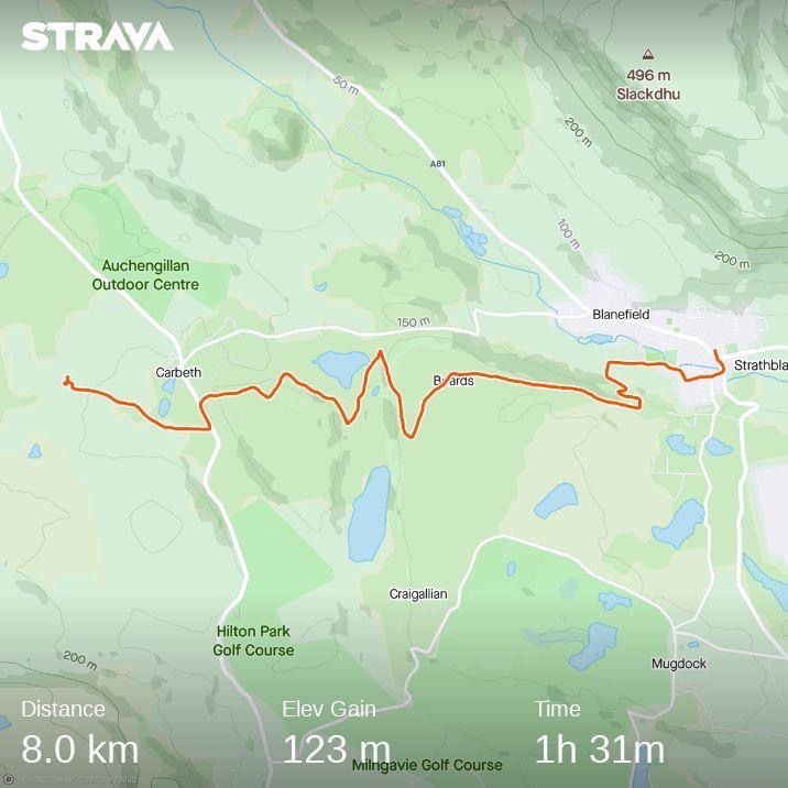 A cheeky little one – Debbie's 500 Miles for Parkinson's UK