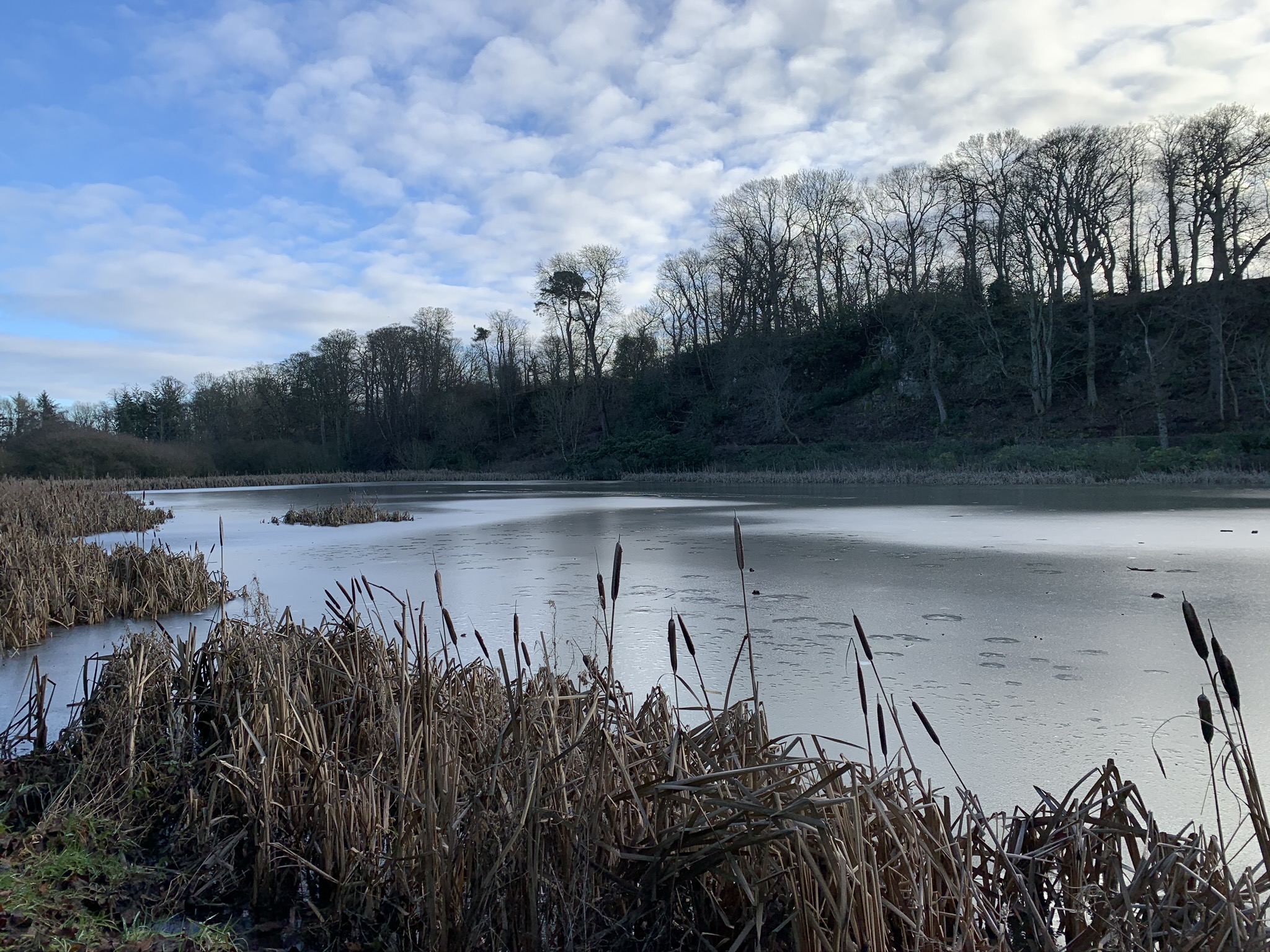 Balgone Estate – Debbie's 500 Miles for Parkinson's UK