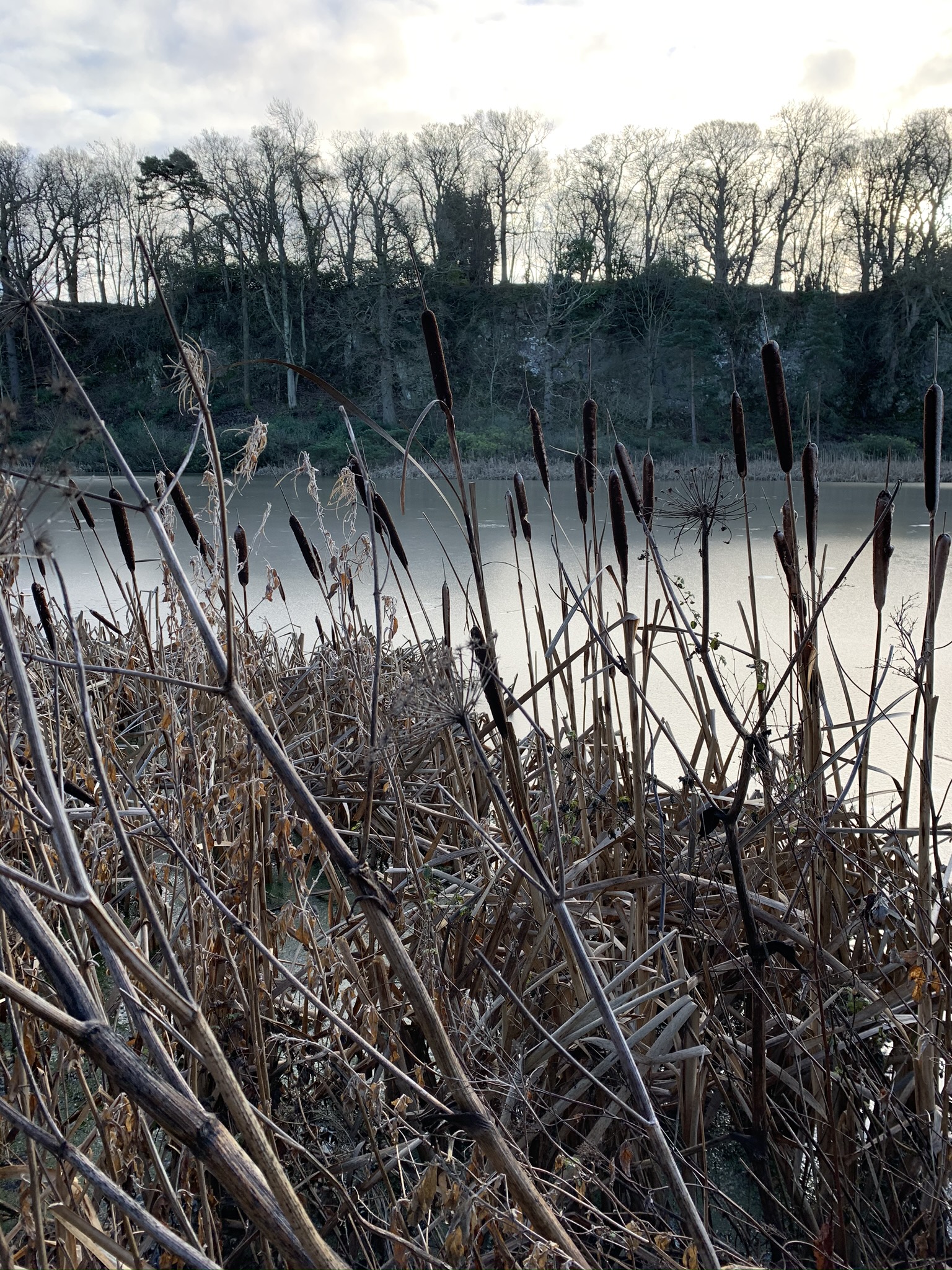 Balgone Estate – Debbie's 500 Miles for Parkinson's UK