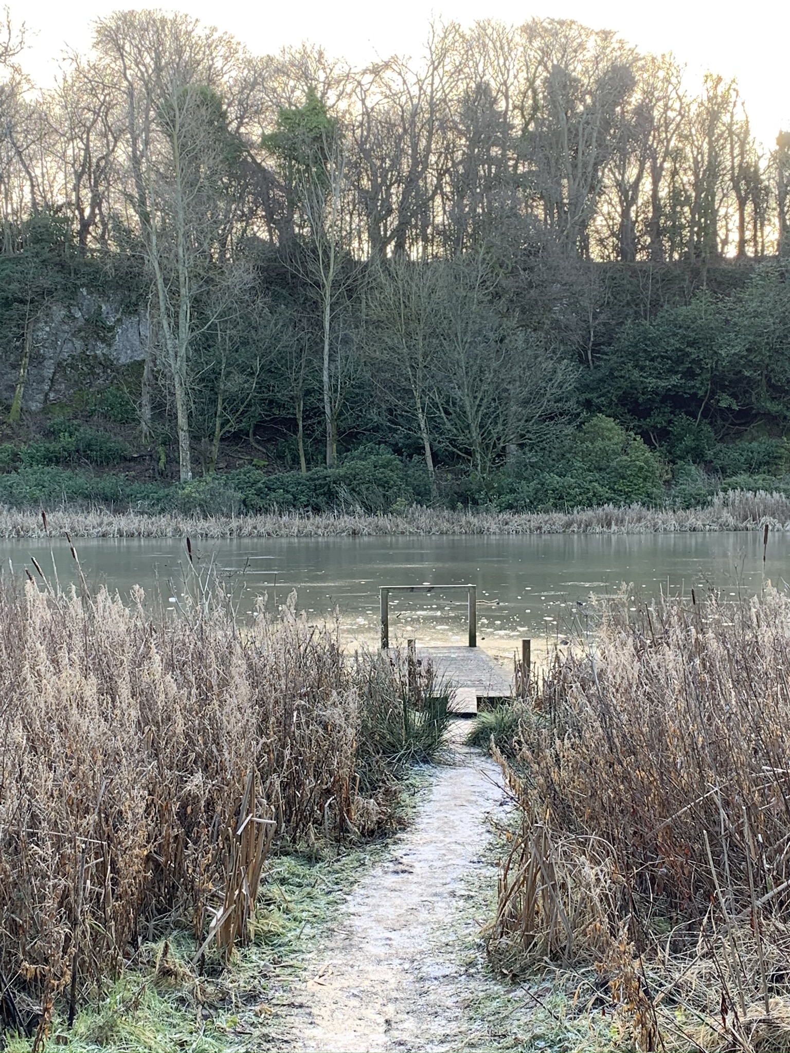 Balgone Estate – Debbie's 500 Miles for Parkinson's UK