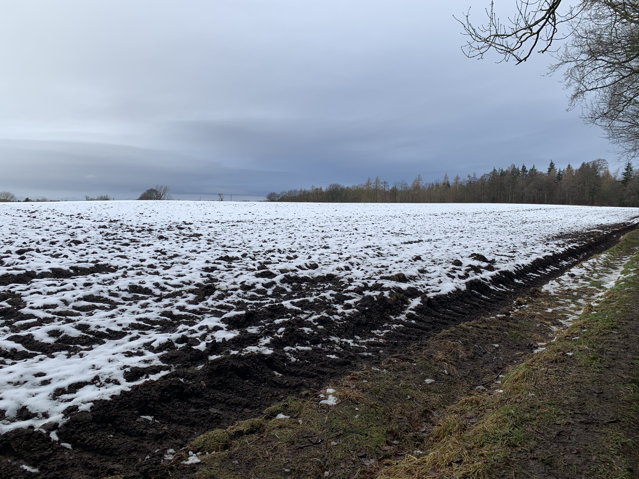 Winton Estate – Debbie's 500 Miles for Parkinson's UK