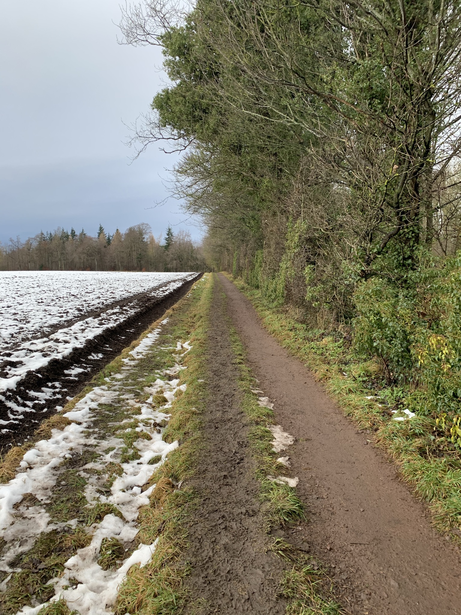 Winton Estate – Debbie's 500 Miles for Parkinson's UK