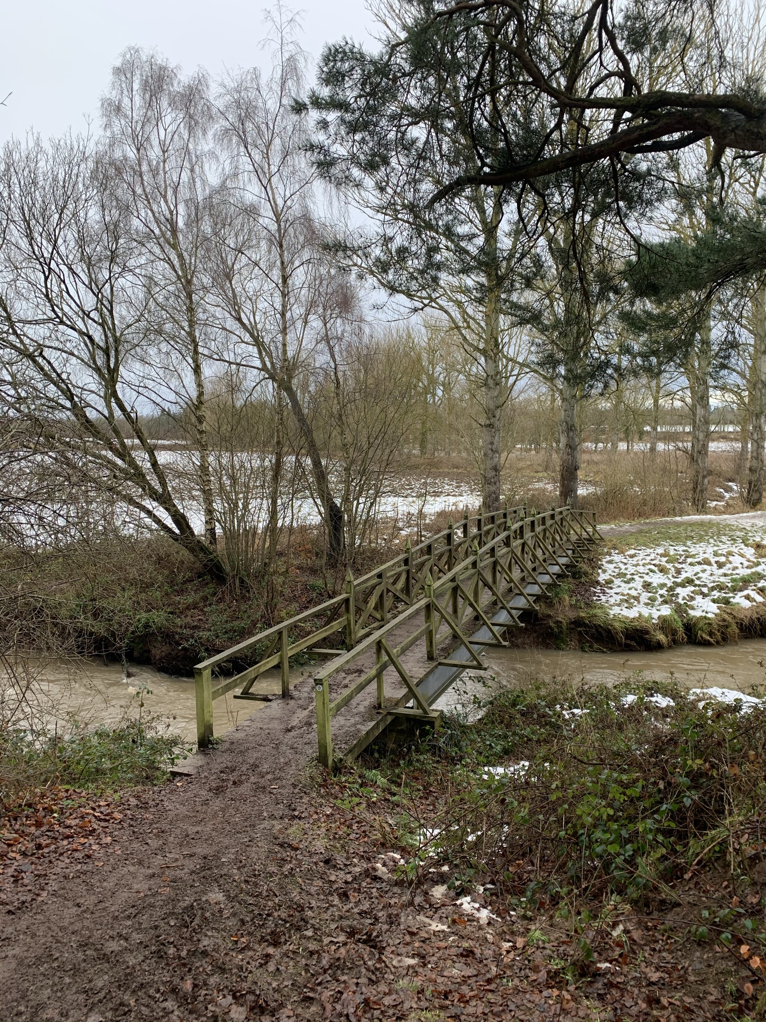 Winton Estate – Debbie's 500 Miles for Parkinson's UK