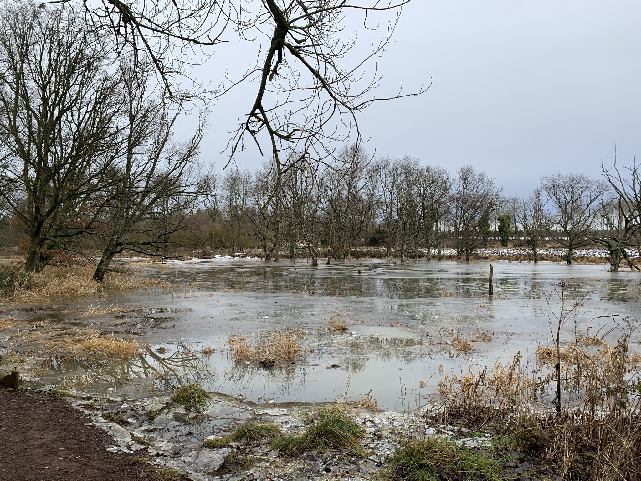 Winton Estate – Debbie's 500 Miles for Parkinson's UK