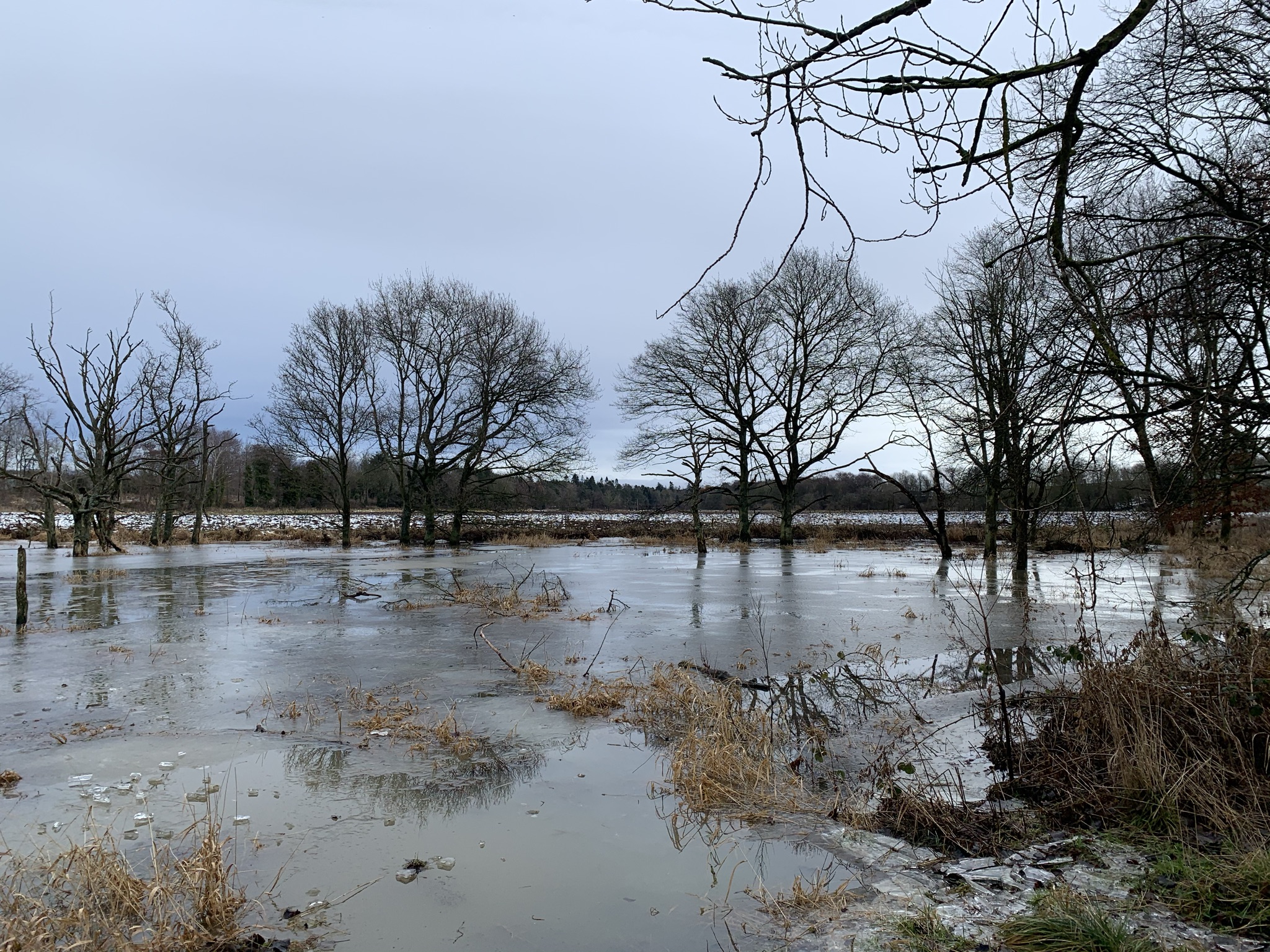 Winton Estate – Debbie's 500 Miles for Parkinson's UK